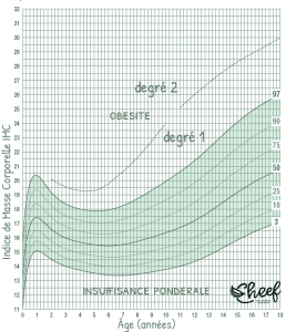 Calculer l'IMC pour retrouver son poids idéal Conseils Cheef